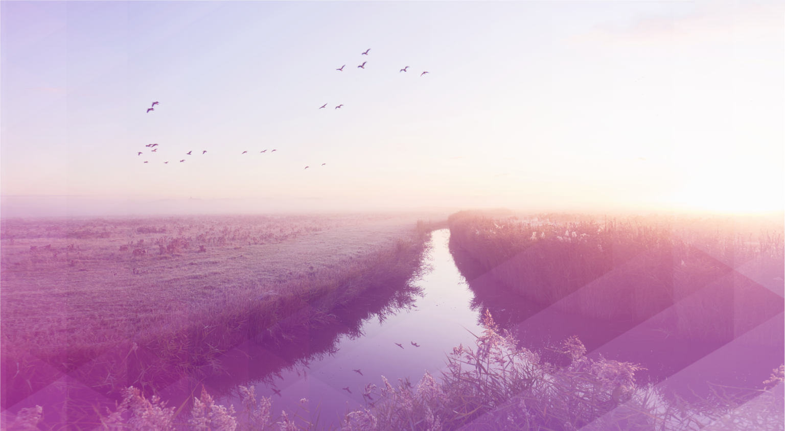 Flight Path - Duck Creek